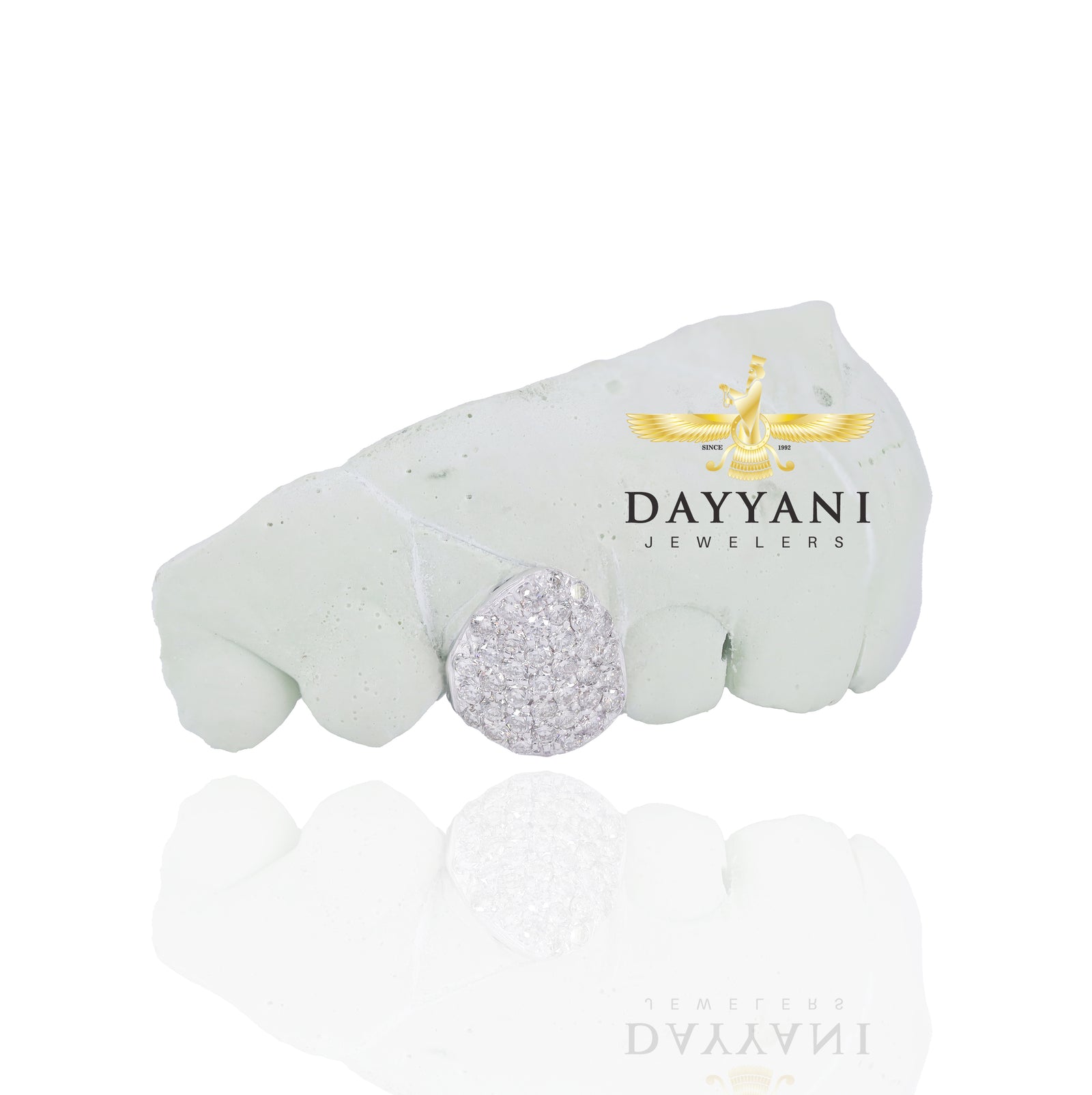 Custom One Tooth Diamond Grillz Hand Set Natural Diamonds Custom Grill